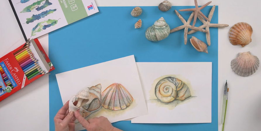 Watercolour Pencil Shells Inspired By Georgia O'Keeffe | Zart