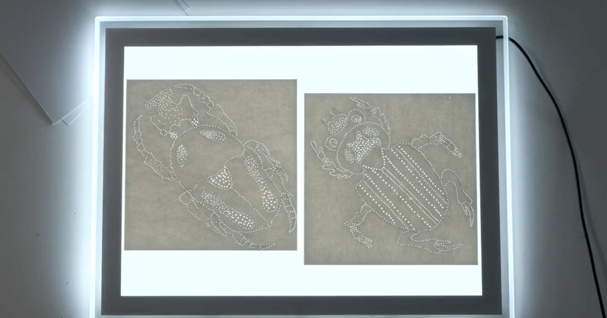 Pointillist Picotage Insects Inspired by Pascale Malilo | Zart