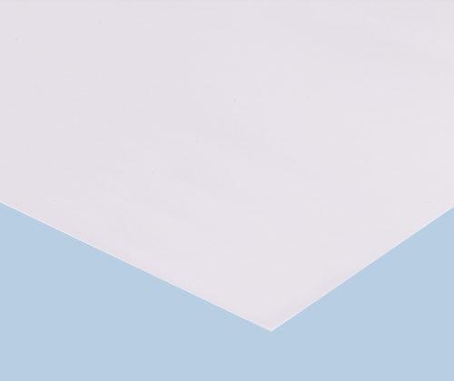 White Cardboard A4 (Pasteboard) Pack of 100 | Zart